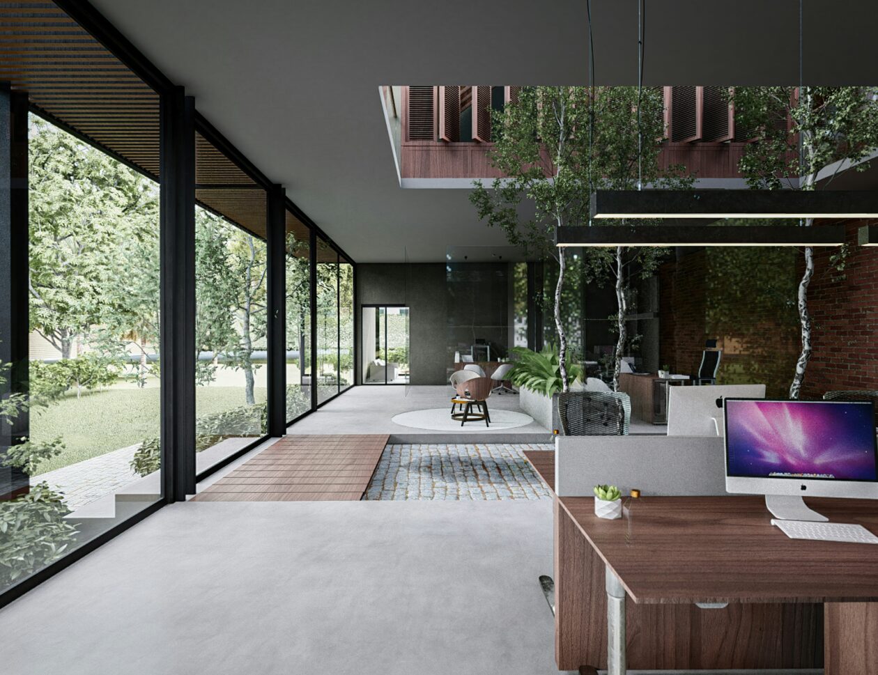 Agawa - odmiany, uprawa i pielęgnacja